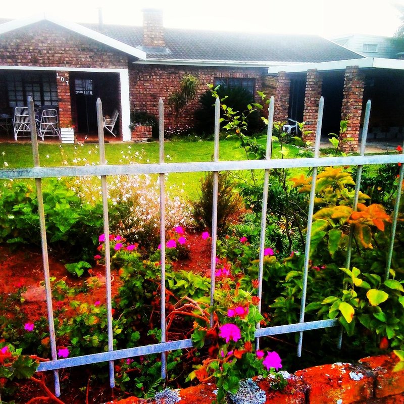 Mermaid Cottage / Boknesstrand, Eastern Cape | Travel SA